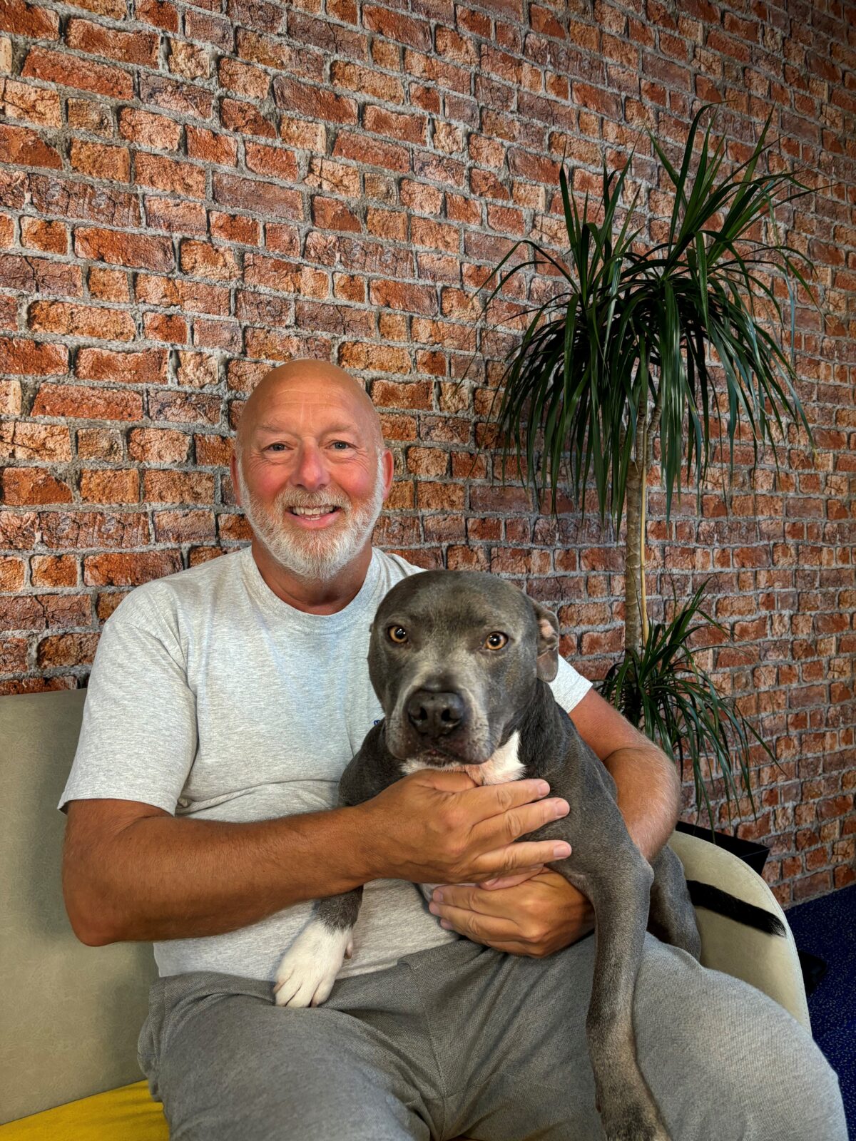 Meet the Team - My Mortgage Finder